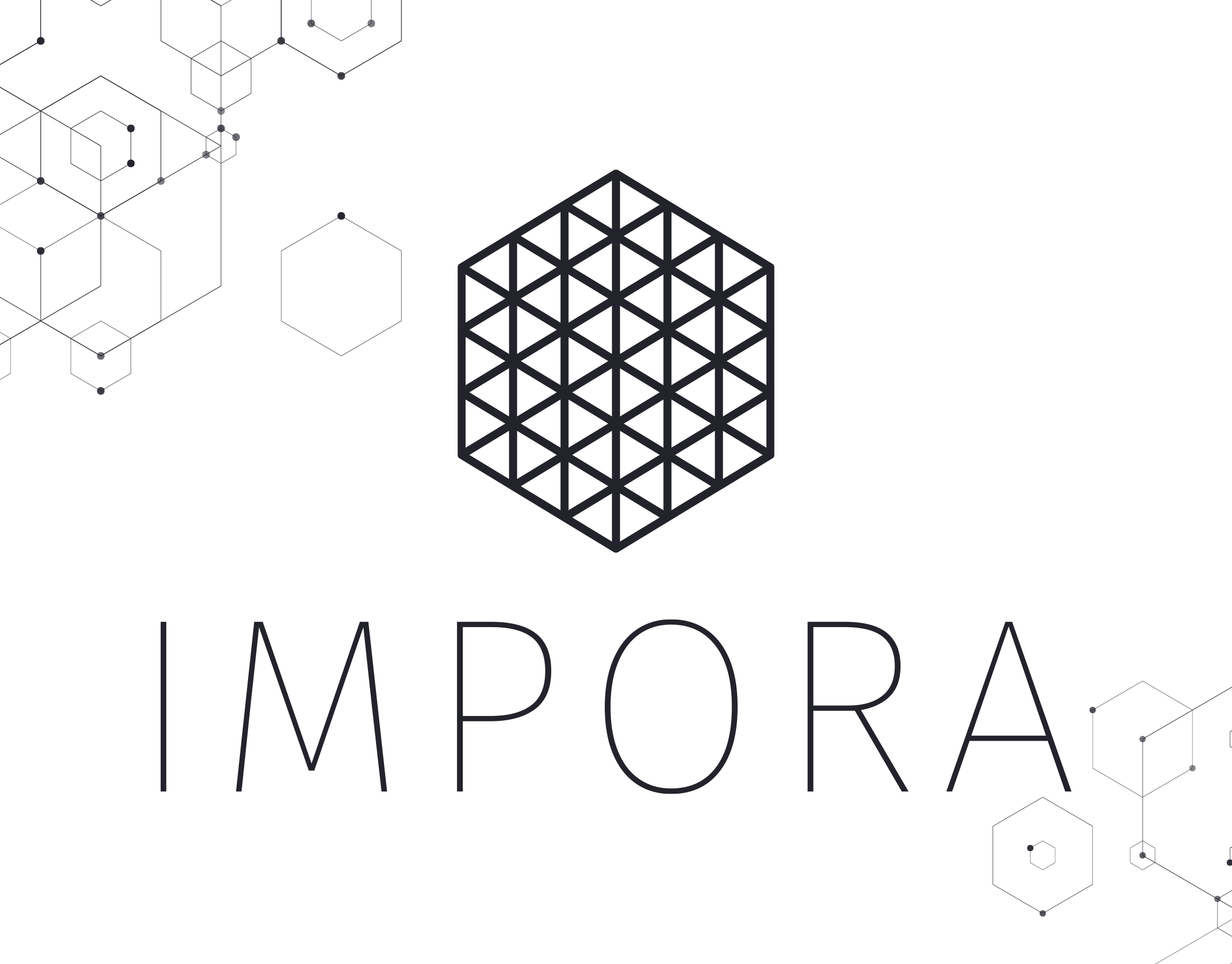 IMPORA – Connecting Worlds, Delivering Value